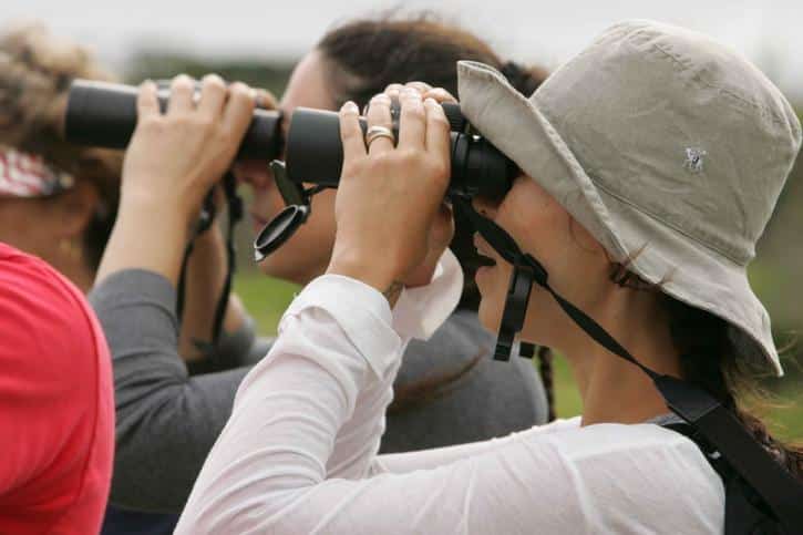 Setting Sights On EAP(s)